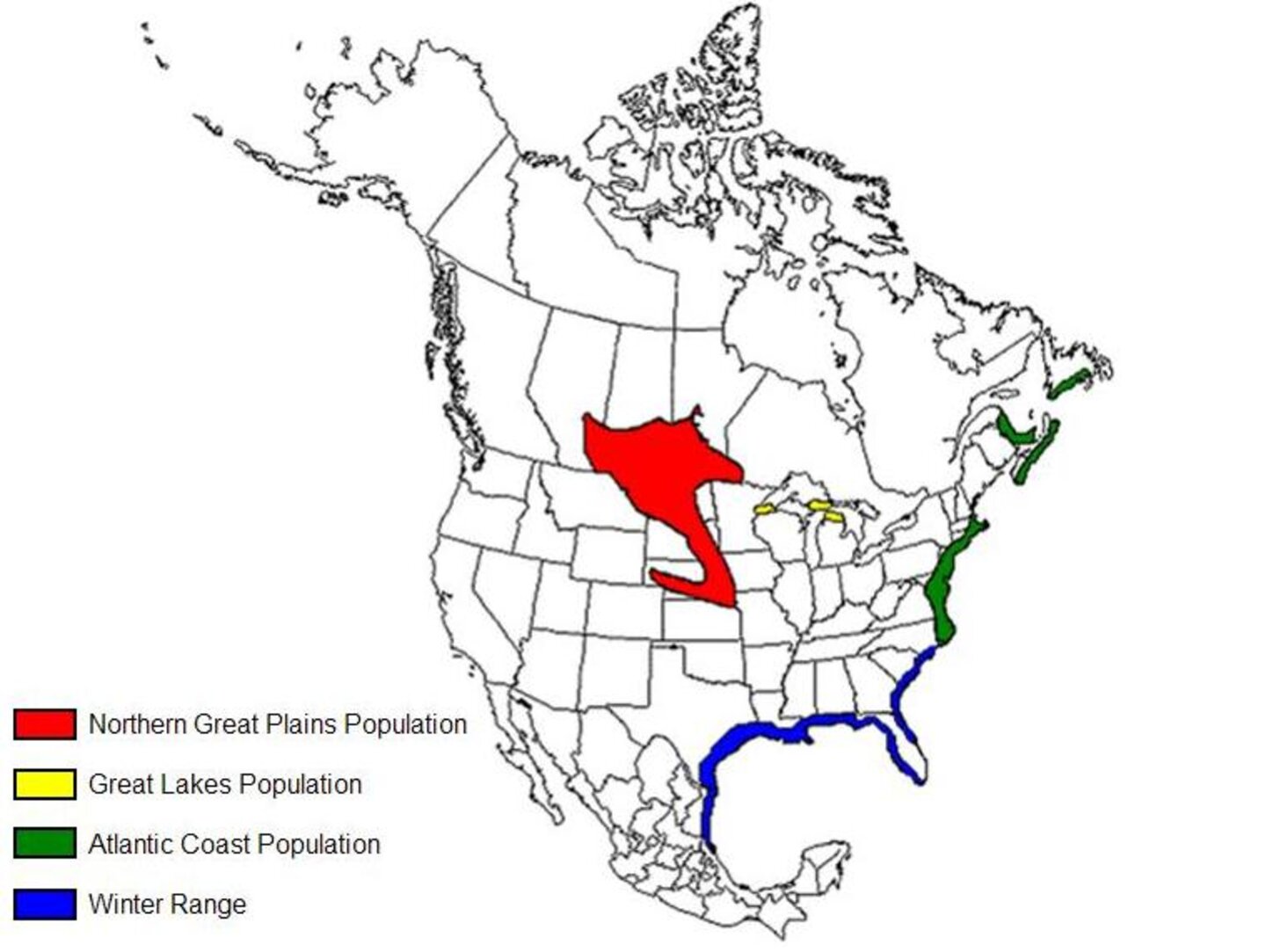 Piping Plover - Distribution | Tern and Plover Conservation Partnership ...