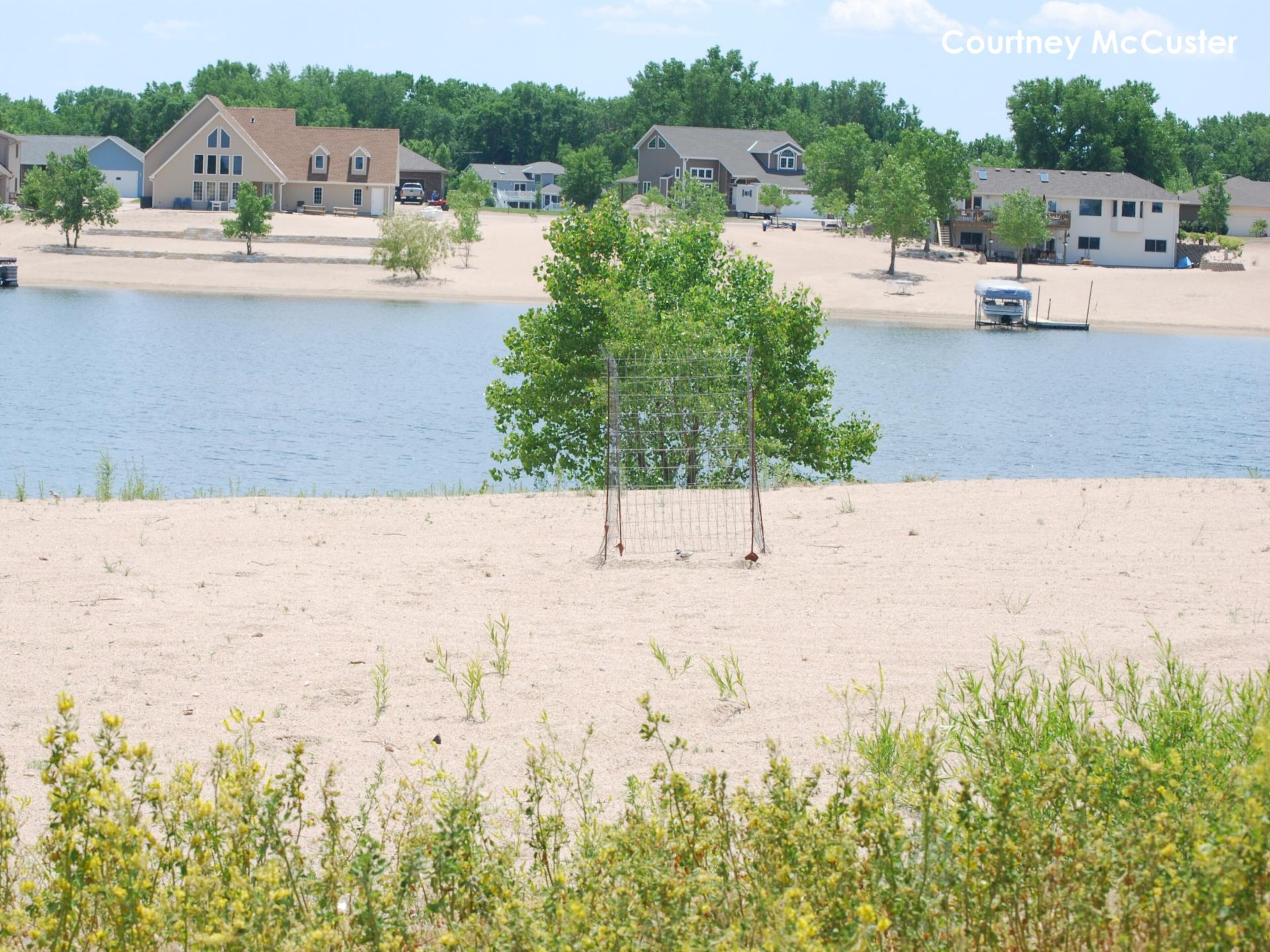 Lake Shore Housing Developments | Tern and Plover Conservation ...