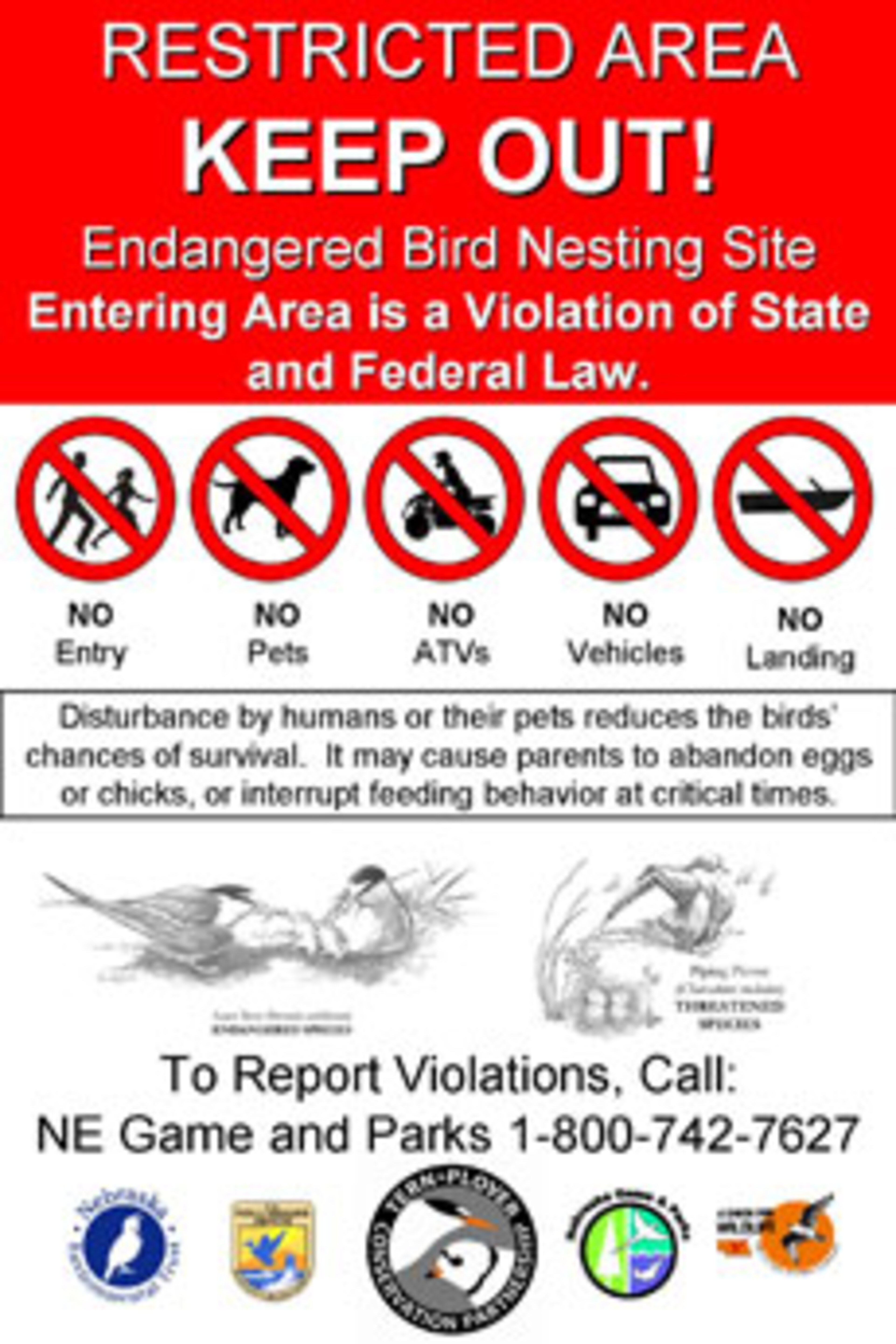 Protecting the Birds | Tern and Plover Conservation Partnership | Nebraska